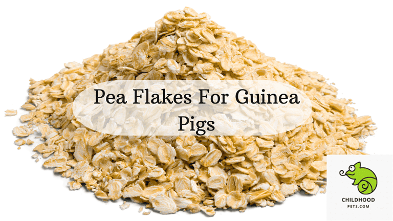 Pea Flakes For Guinea Pigs – Childhoodpets.com